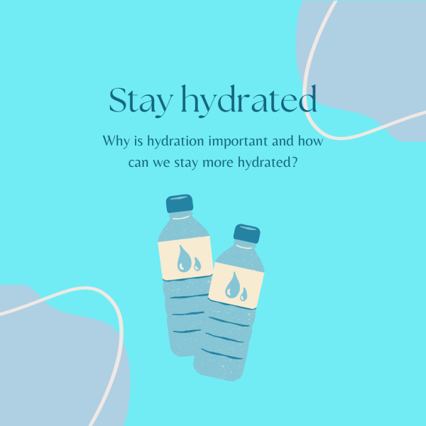 The Importance of Hydration: Why It Matters and Tips to Stay Hydrated ...