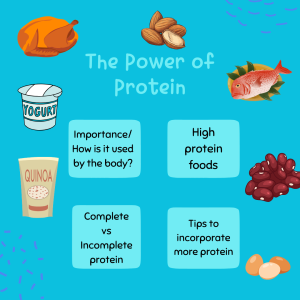 The Power of Protein: Fueling Your Body for Optimal Health – The ...